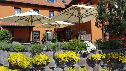 Haus Zur Waldbrucke - Marktheidenfeld