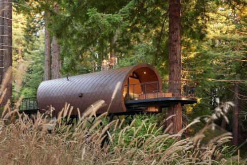 ~* The Spectacular Spyglass Treehouse *~ - Bodega Bay, CA