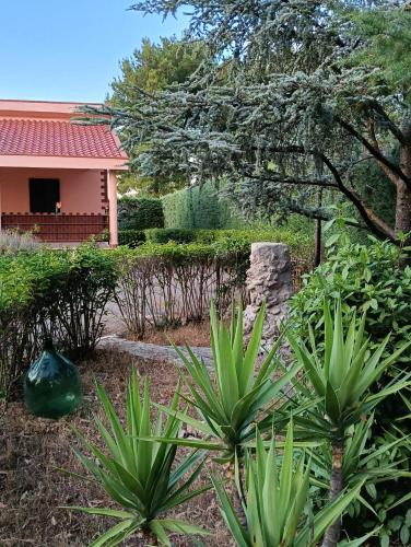 Villa Rosa - Andria