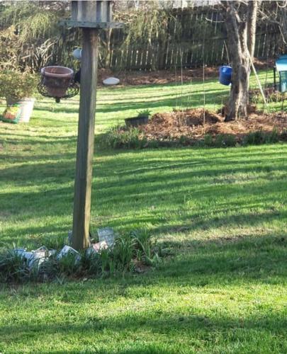 Guesthome - Georgia, GA