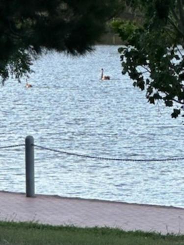 Lakefront 2br Townhouse Pet Friendly - Canberra