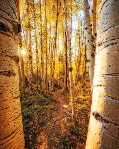 The Drop In The Edge Of Adventure - Crested Butte, CO