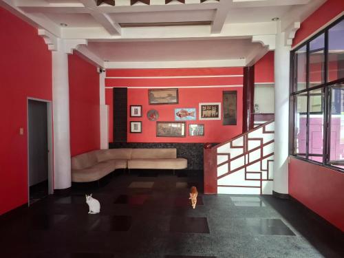 Thedors Boutique Hostel - Cebu, Philippines