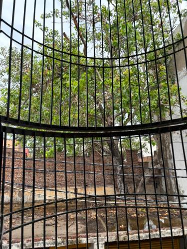 Radha Madhav Homestay Near Bake Bihari Mandir - Vrindavan