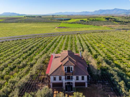 Olyfhoek Farm Accomodations - Paarl
