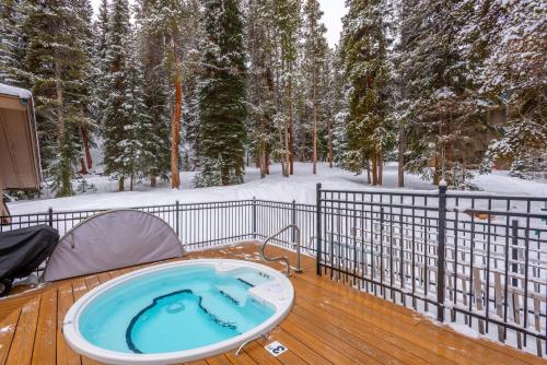 Ten Mile Haus B5 - Copper Mountain, CO