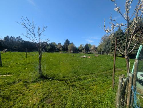 Natur Camping Rabu - Sachsen