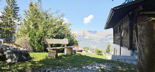 Schwabhorn - Brienz