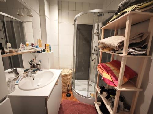 Chambre Au Centre Ville Vue Sur La Mayenne - Laval