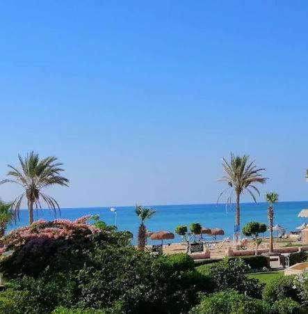 الياسمين - Alexandria