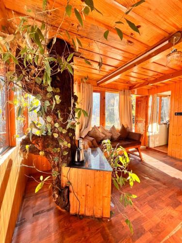 Itw- Into The Wild Tree House , Jibhi - Jibhi