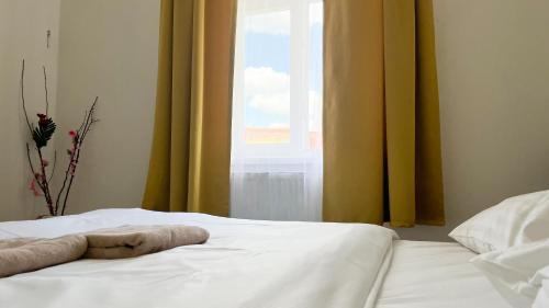 Prague Room Letna H2 - Prague