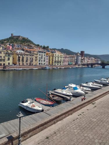 Sas Conzas Dei Corda - Bosa