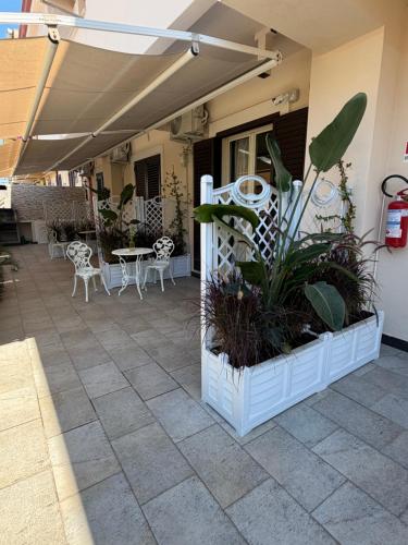 Xvi Secolo House - Scalea