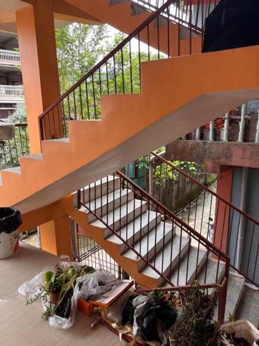 The Wildfern Homestay With Self Cooking Facility - 阿魯納恰爾邦