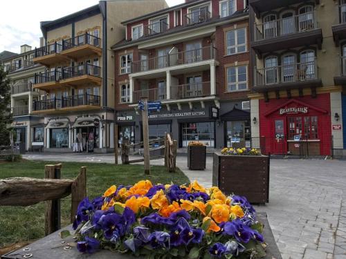 Blue Mountain 6br Chalet Hot Tub Mountain Views Walk To Village - Ontario