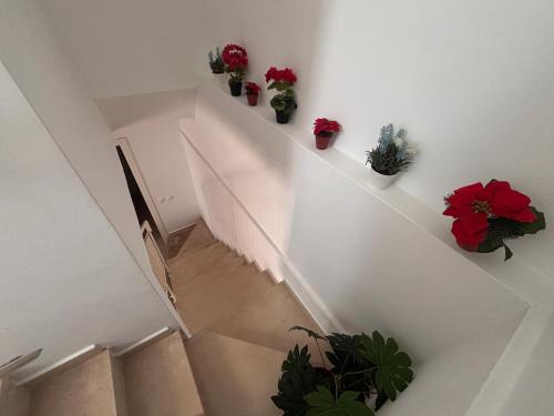 Little Home In The Heart Of Olhao - Faro