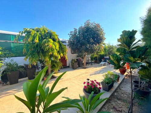 Aurora Retreat Unique Bus Stay Near Sea & City - Paphos