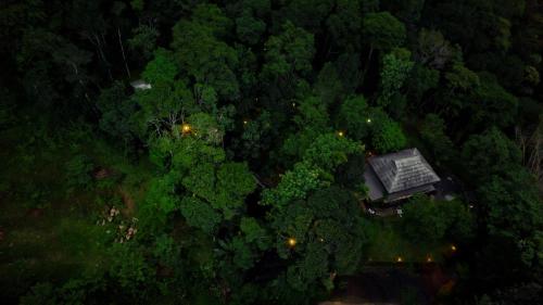 Panchavadi Farm Stay - Thekkady