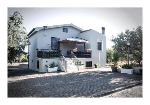 Ficodindia Home - Caltanissetta