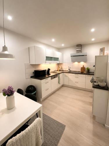 Business & Ferien Apartment Nahe Frankfurt, Hanau, Rodenbach & Aschaffenburg - Hanau