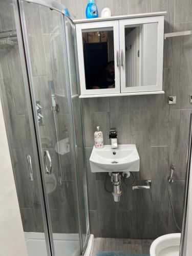 Cozy Double Room With Private Toilet And Shower In A Quiet Neighbourhood - 伯明翰