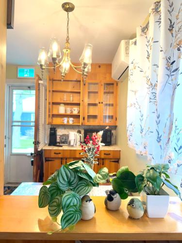 Private Guest Suit-self Checkin-near Downtown - Charlottetown