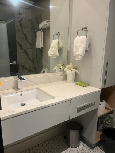 Downtown One Bedroom Apartment 2 - Victoria