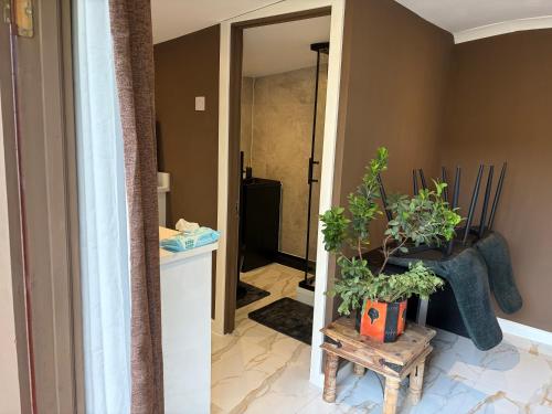 Luxury Garden Shed With Private Entrance - Westcliff-on-Sea