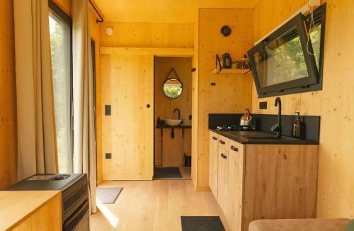 Courneillac - Parcel Tiny House - Tiny House Vue Pyrenees Entouree Par Les Chevres Mae-5233 - Haute-Garonne