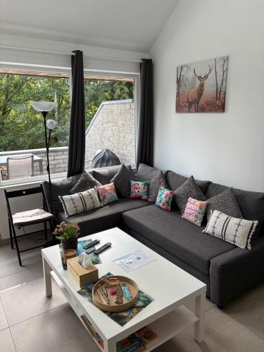 Terrasses De Malmedy Duplex Leana Lodge 441 - Malmedy