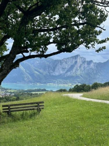 Familie Edtmayer - Rindbergerhof - Mondsee