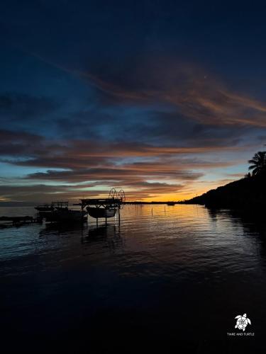 Tiare And Turtle - Bora-Bora