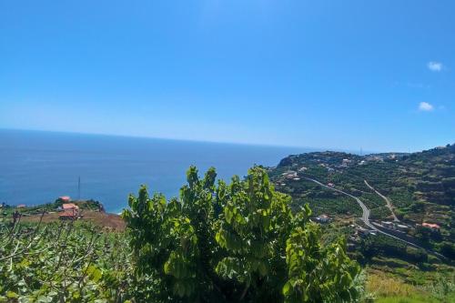 Casa Bela Vista Studio 1 - Madeira