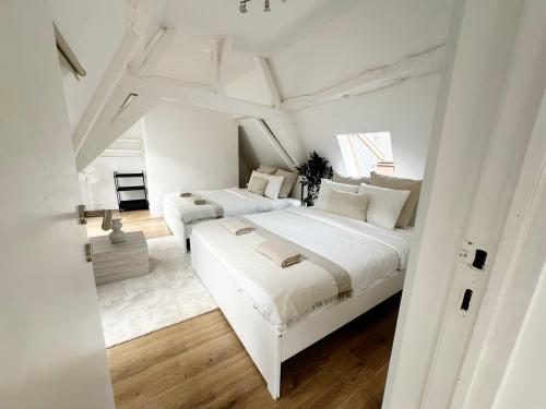 Stylish 2br &1lr Apt, Prime Belgian Location - Gand