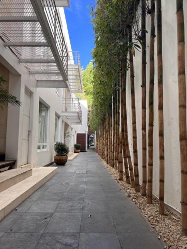 Condesa Residence Amsterdam 202 Bright 1br 1ba On Amsterdam Av - Mexico City