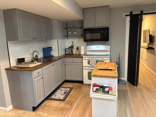 Lower Level 1br Guest Suite Wparking Near Bwi - Columbia, MD