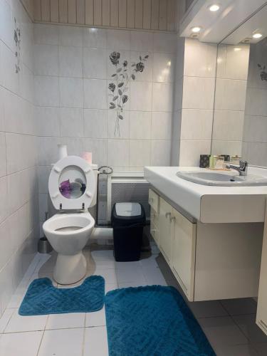 Appartement Avec Terrasse & Parking Prive - Centre Thonon - ibis Thonon Centre
