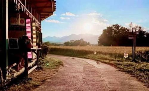 Chill In Pai - Mae Hong Son