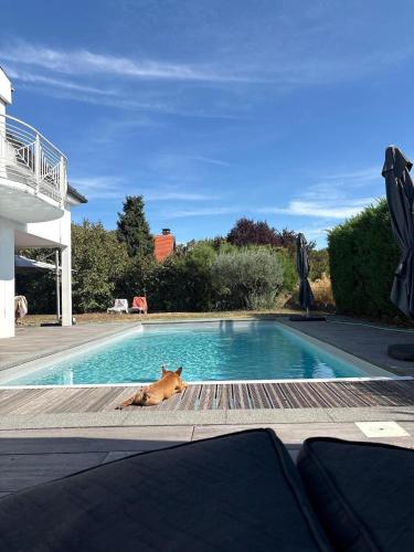 Buda Lodge 6 P B&b Suite Familiale Alsace Proximite Immediate Strasbourg - Eckbolsheim