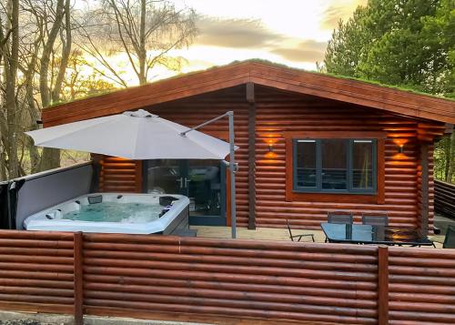 Beech Hedge - Scotland