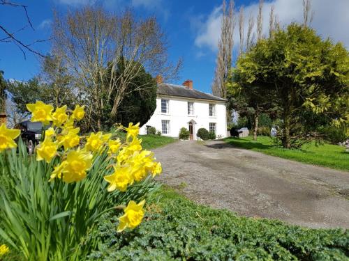 Penygelli Apartments - North Wales