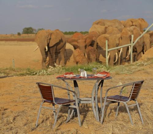 Ashnil Aruba Lodge - Aruba Lodge, Kenya - Updated 2026: Prices and ...