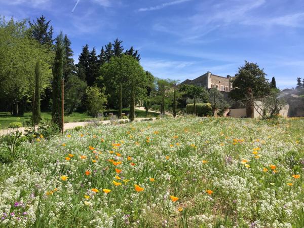Domaine Les Martins - Gordes - Gordes, Francia