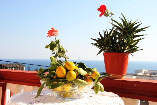 Alvanita Apartments - Montenegro