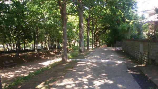 Alloggio Turistico Olmata - Italy