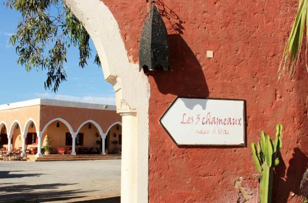 Hotel De Charme Les 3 Chameaux 4 éToiles - Mirleft