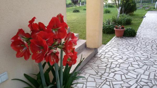 Apartment Anastasija - Kosovo