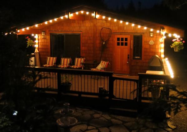 A Shack In The Woods - Port Renfrew