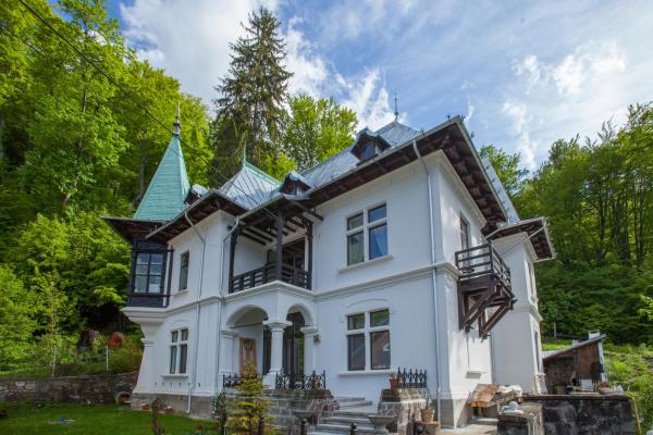 Il Piccolo Castello Busteni - Azuga